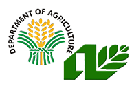 DA Agribusiness and Marketing Assistance Service (AMAS)